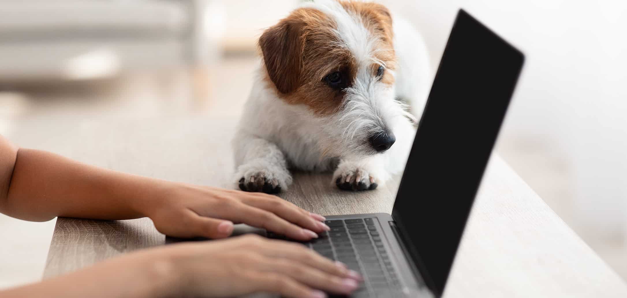 Contact Us | Hefner Road Animal Hospital