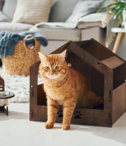 Hefner Road Animal Hospital | Veterinarian in Oklahoma City