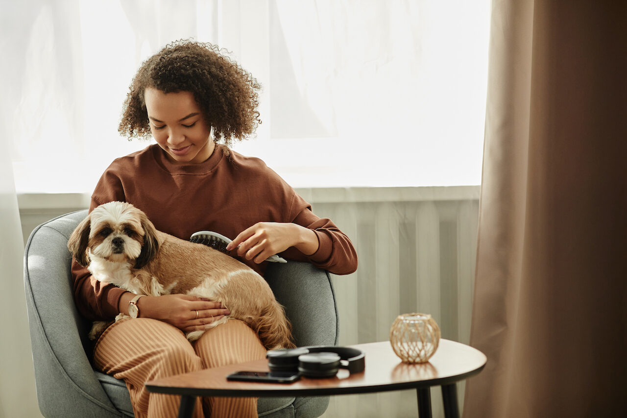 Puppy and Kitten Wellness Care Oklahoma City, Bethany | Hefner Road ...