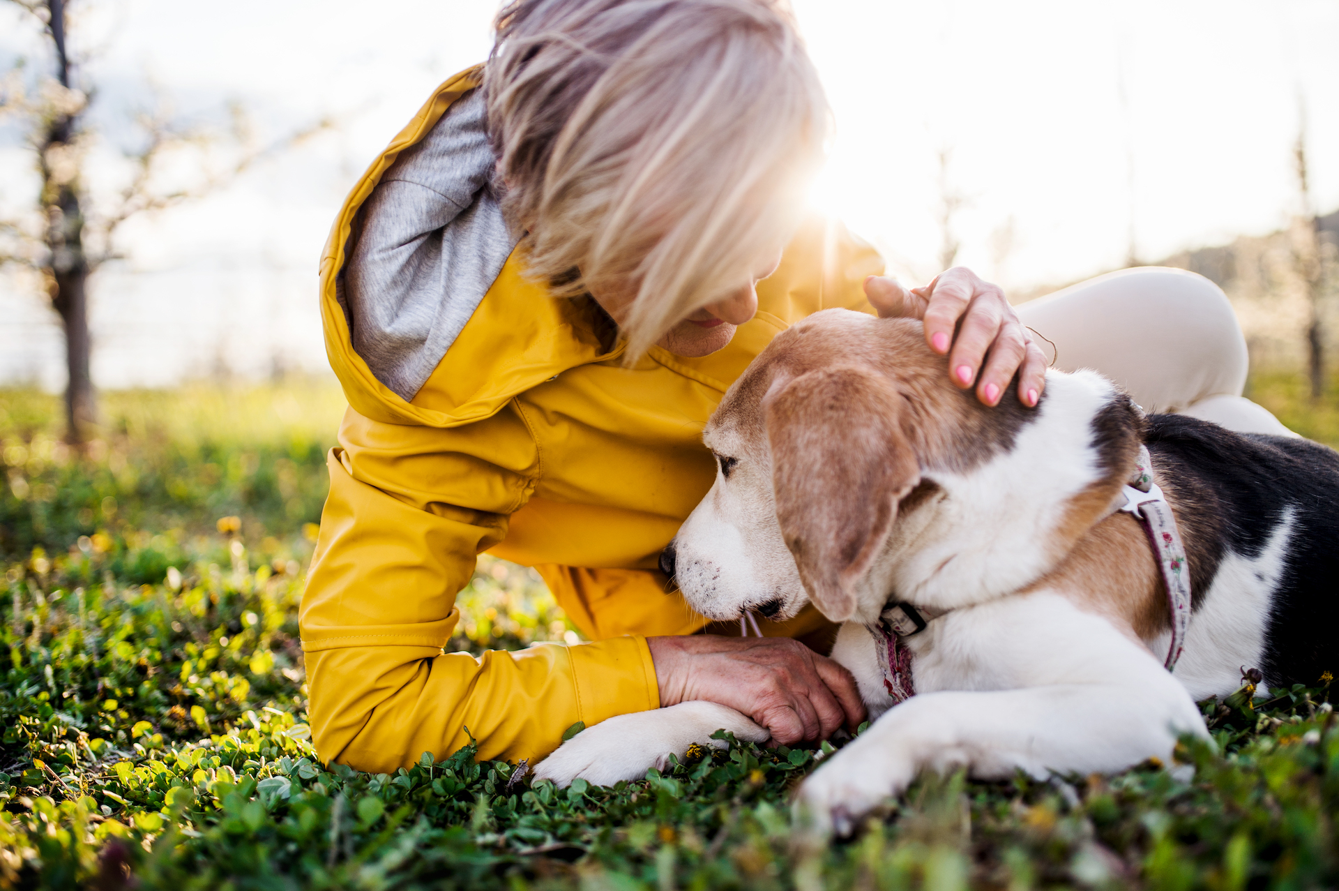 Senior Pet Care Oklahoma City, Bethany | Hefner Road Animal Hospital