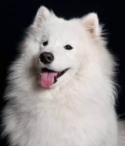 Hefner Road Animal Hospital | Veterinarian in Oklahoma City