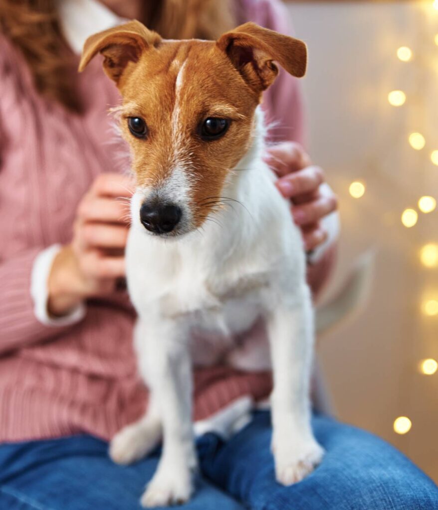 Hefner Road Animal Hospital | Veterinarian in Oklahoma City